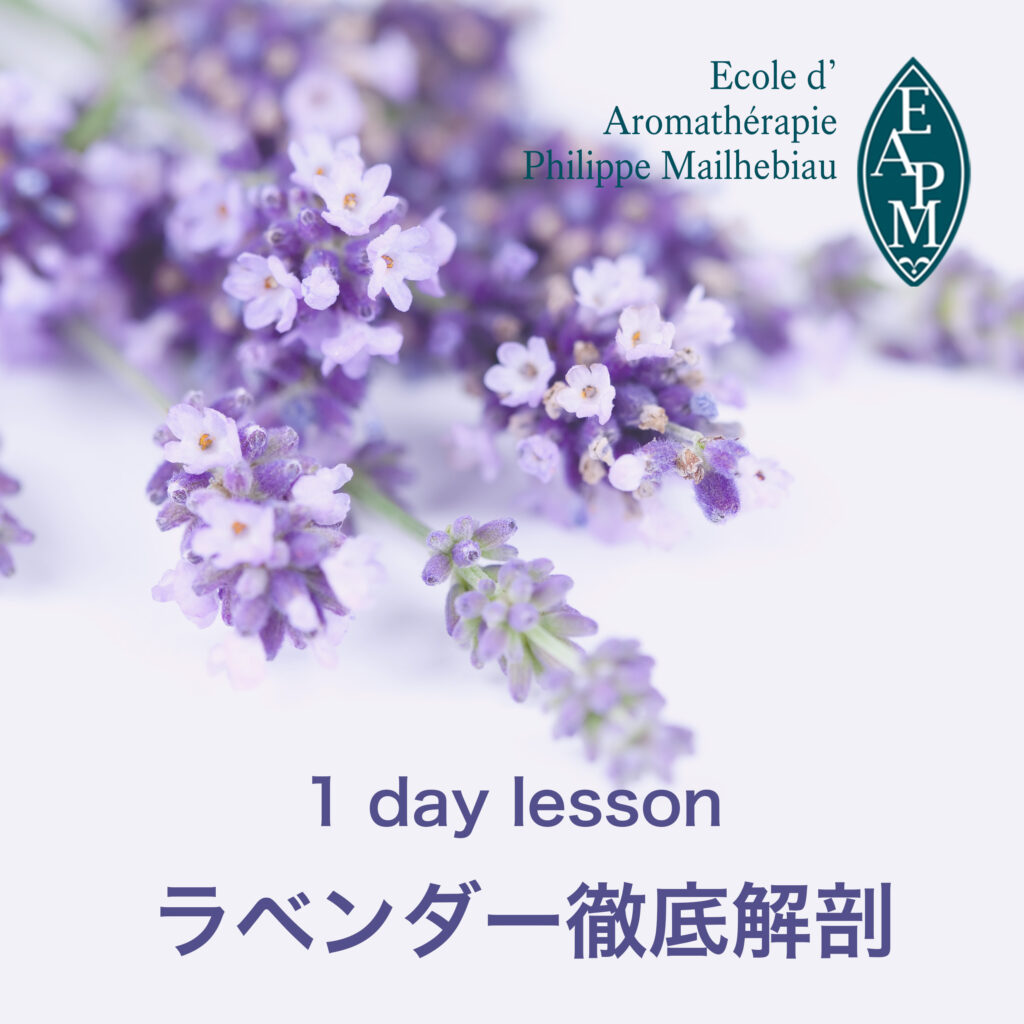 1 day lesson ラベンダー徹底解剖 | アロマネット - aromanet